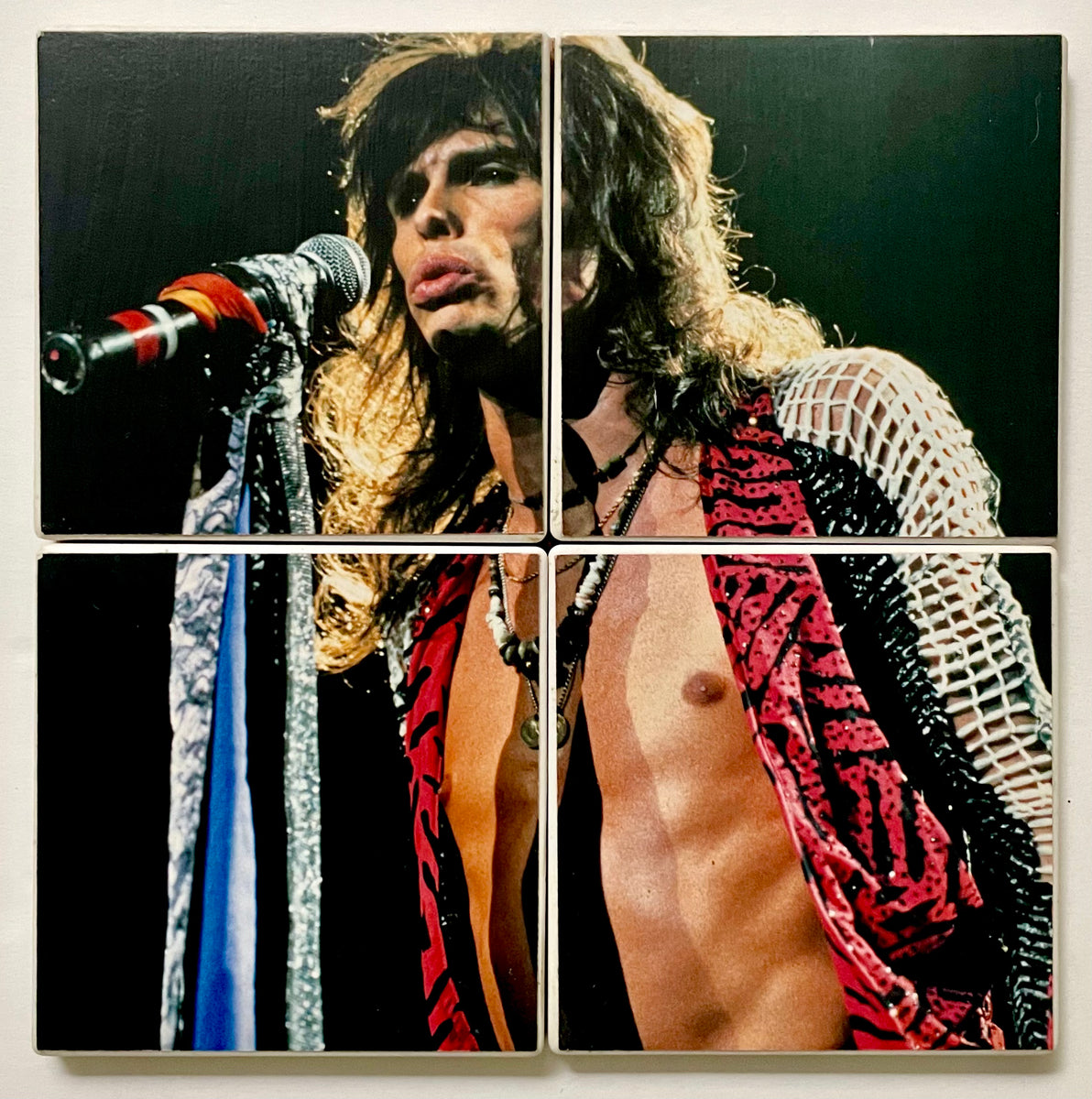 AEROSMITH - Steve Tyler at the mic – Upcycling It